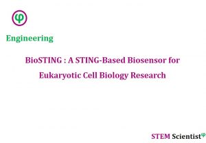 BioSTING : A STING-based biosensor for eukaryotic cell biology research ...